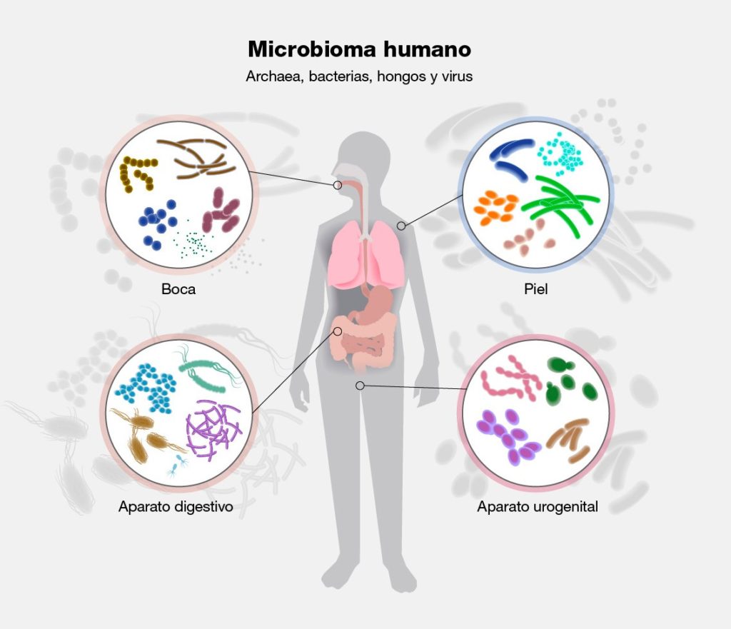 La amenaza del uso excesivo de antibióticos: Missing Microbes de Blaser
